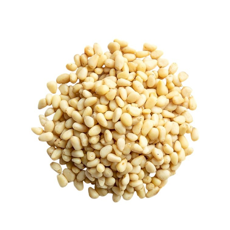 Raw Pine Nut – fiestadesaint.com